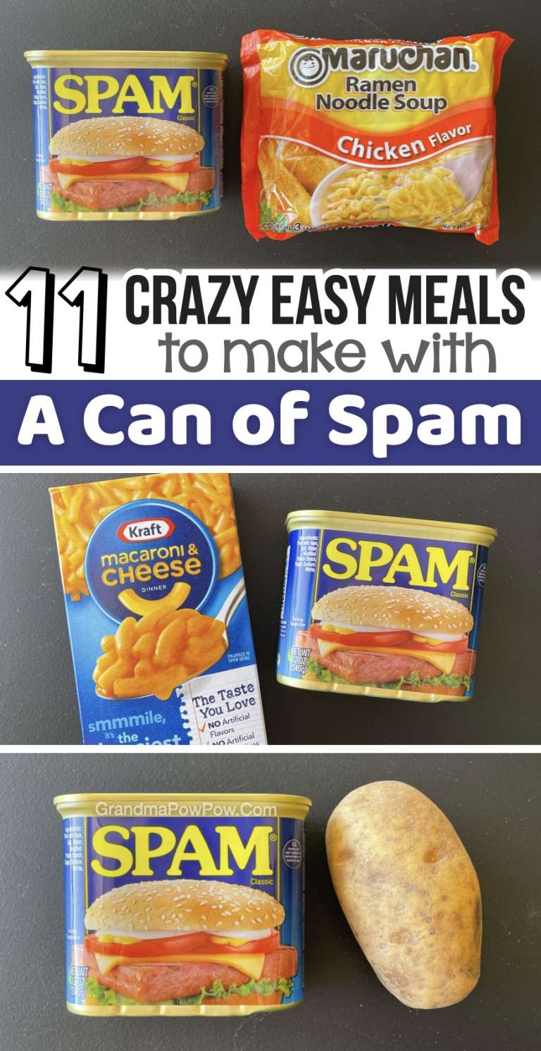 11 Crazy Easy Meals To Make With A Can of Spam