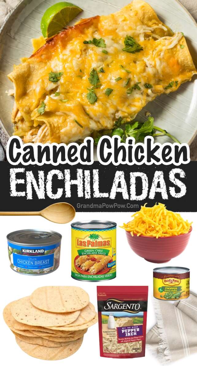 How To Make Enchiladas With Canned Chicken